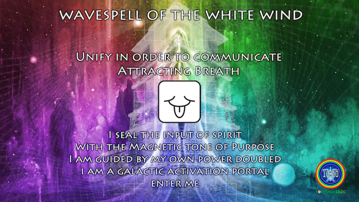 Wavespell 18 of the White Wind ~ Dreamspell Journey – Tortuga 13:20