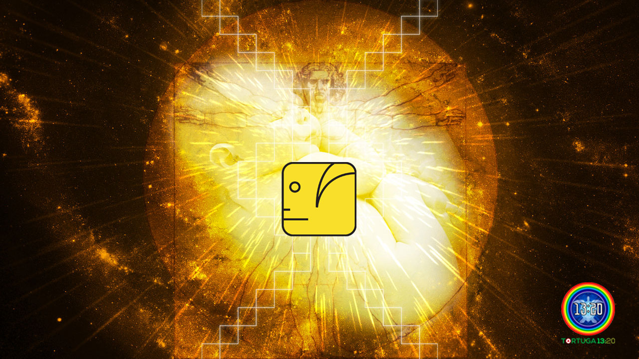 yellow-human-seal-12 – Tortuga 13:20