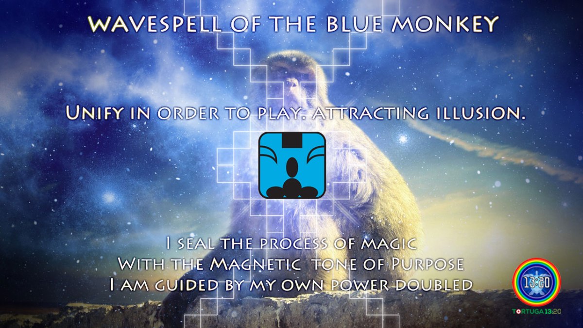 Wavespell 11 of the Blue Monkey ~ Dreamspell Journey – Tortuga 13:20