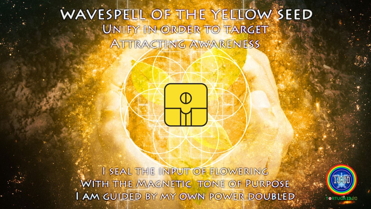 Wavespell 12 of the Yellow Seed ~ Dreamspell Journey – Tortuga 13:20
